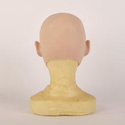 Invidia Silicone Mask Devil Version – Moli's Lab